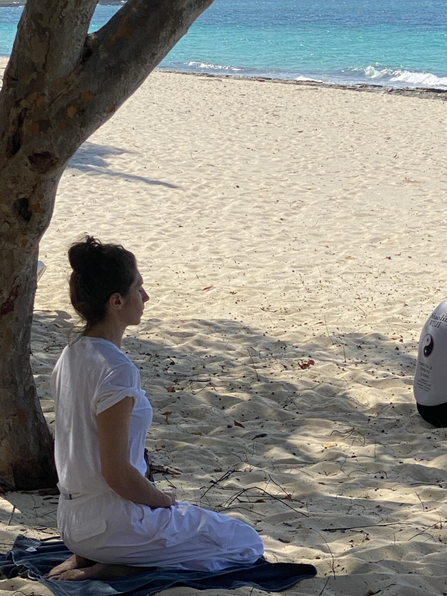 Meditation / Zuo Chan 坐禅 / Mindfulness - Shaolin Wuji